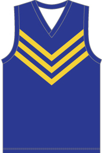 AFL Guernsey Design 12 - FCW