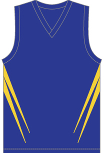 AFL Guernsey Design 5 - FCW